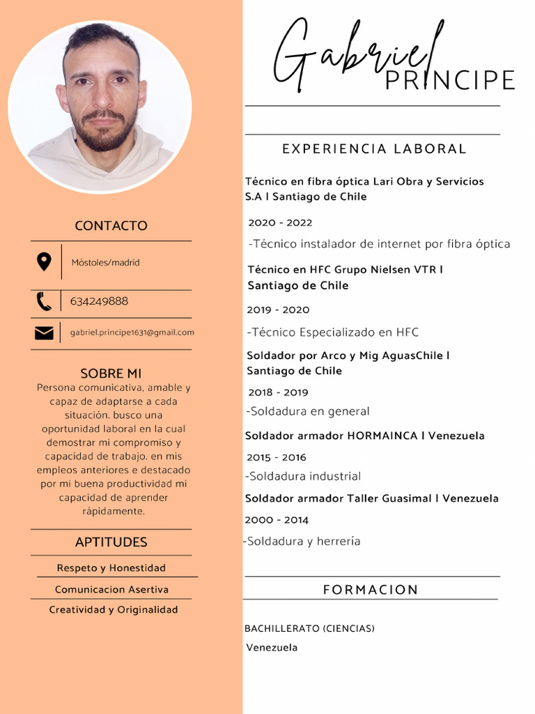 CV GABRIEL PRINCIPE PERDOMO | PDF