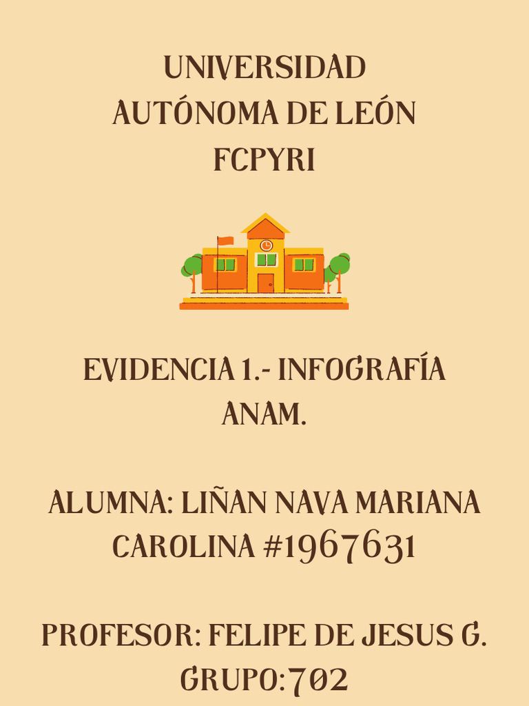 Infografia Ev1 20240321 141118 0000 | PDF | aduana | Gobierno
