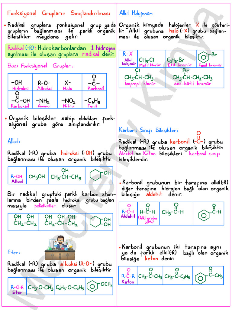 fonksiyonel gruplar | PDF
