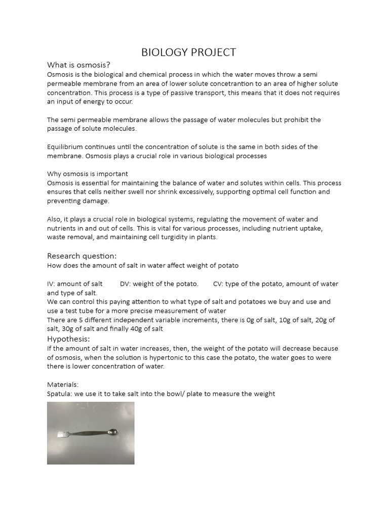 Salt Concentration Effects on Potato Weight | PDF | Osmosis | Biology