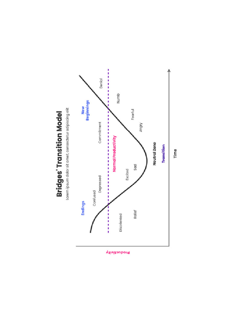 Model For Bridges Transition | PDF