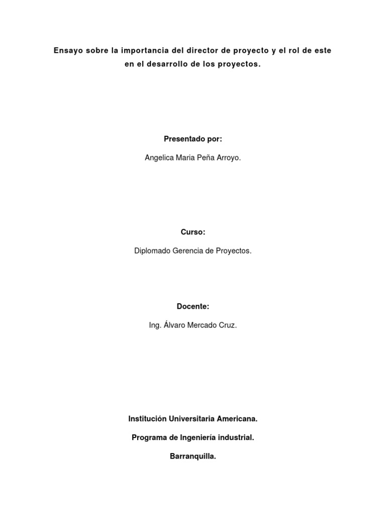 Ensayo Sobre La Importancia Del Director de Proyecto y El Rol de Este en El Desarrollo de Los ...
