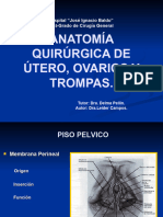 Anatomia de La Vulva | PDF | Vagina | Ginecología