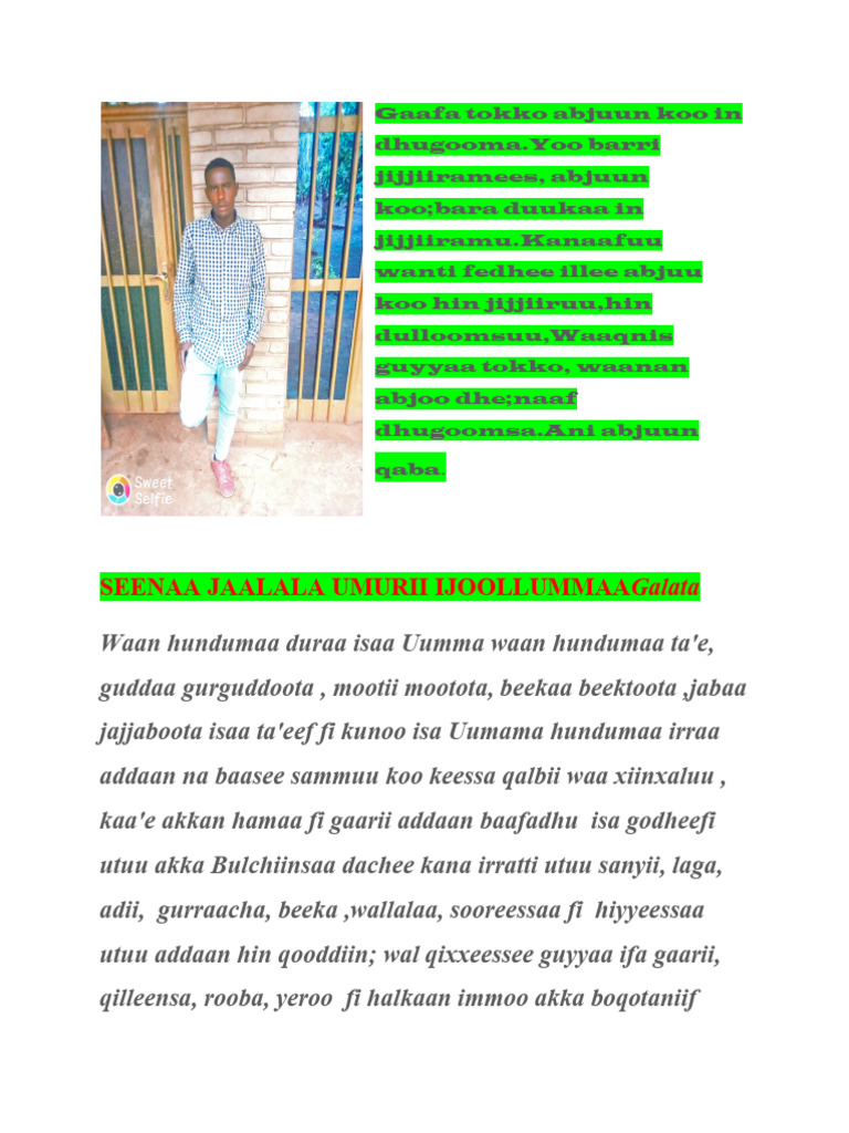 Seenaa Jaalala Umurii Ijoollummaa | PDF