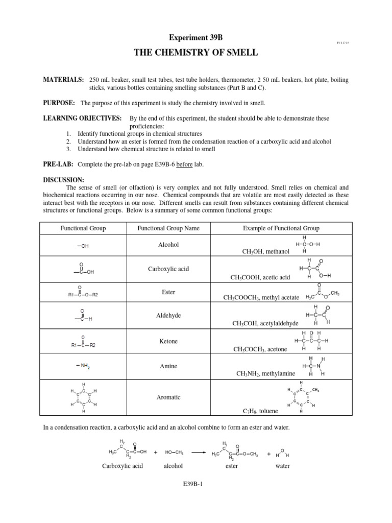 Chemistry of Smell: Ester Synthesis Lab | PDF | Ester | Chemical Substances