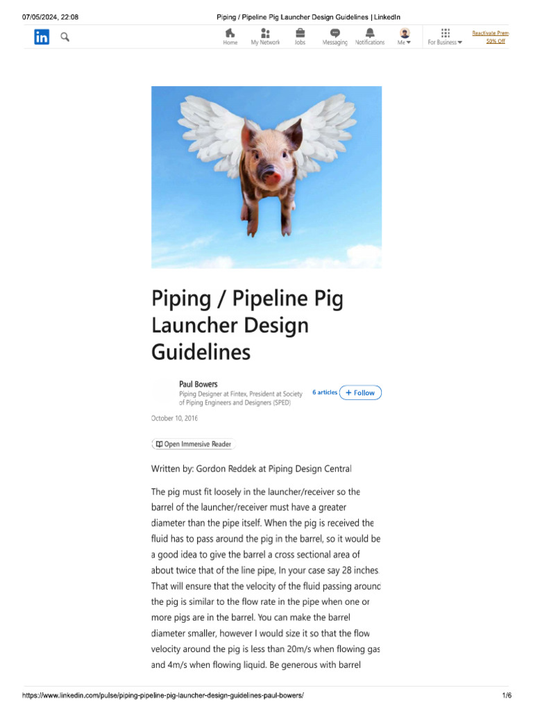 Pigging | PDF