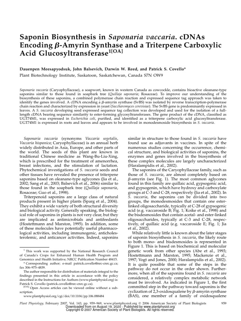 959.full | PDF | Complementary Dna | Molecular Cloning
