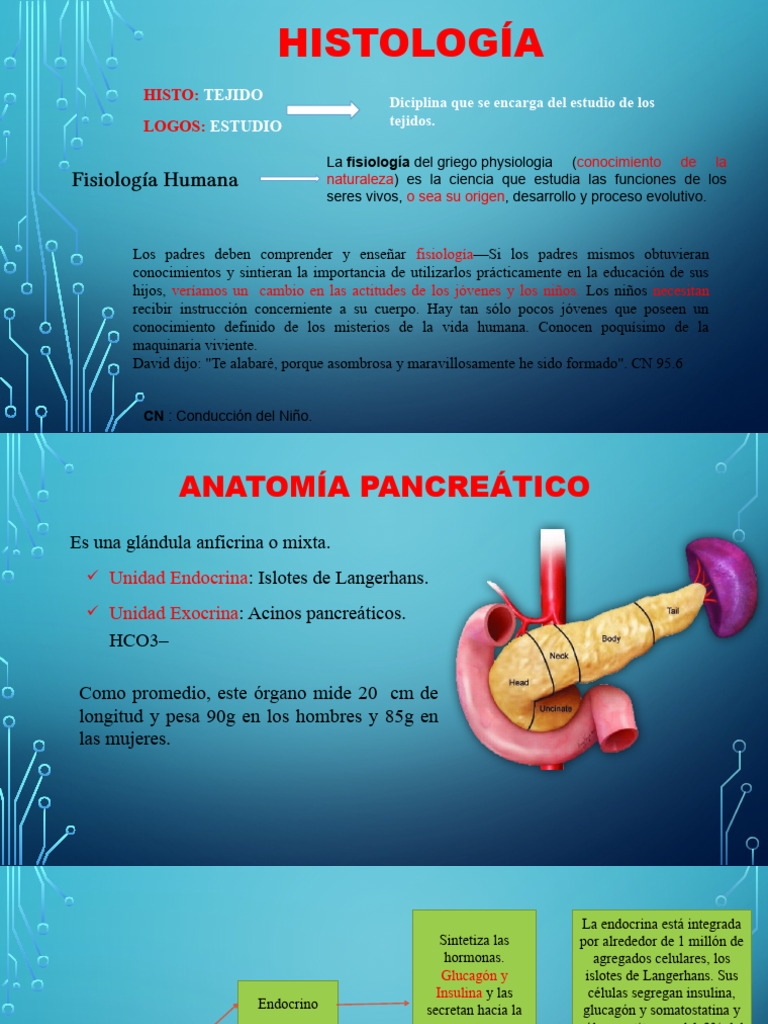 Copia HISTOLOGÍA HUMANA - PACHISA-1 | PDF | Aterosclerosis | Páncreas