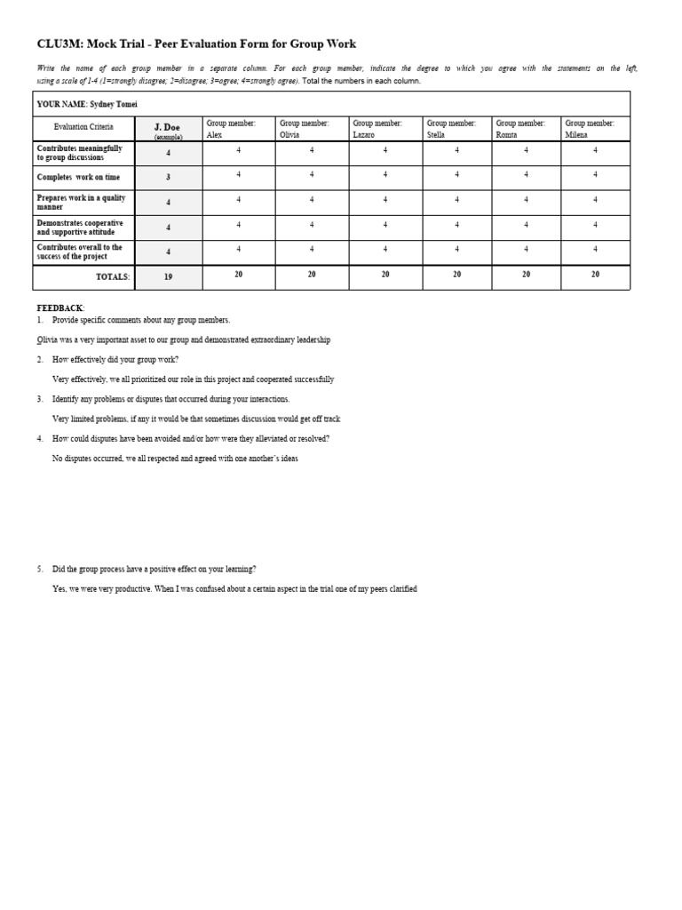 MT Peer Evaluation | PDF | Behavior Modification | Human Communication