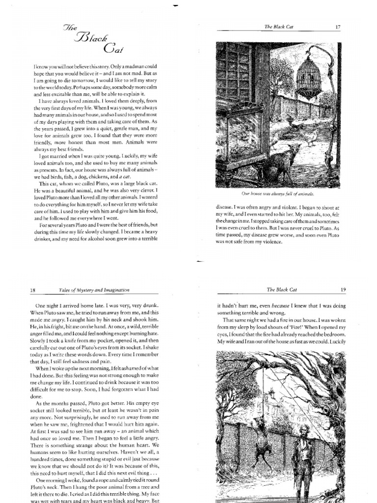 The Black Cat (E.A. Poe) | PDF