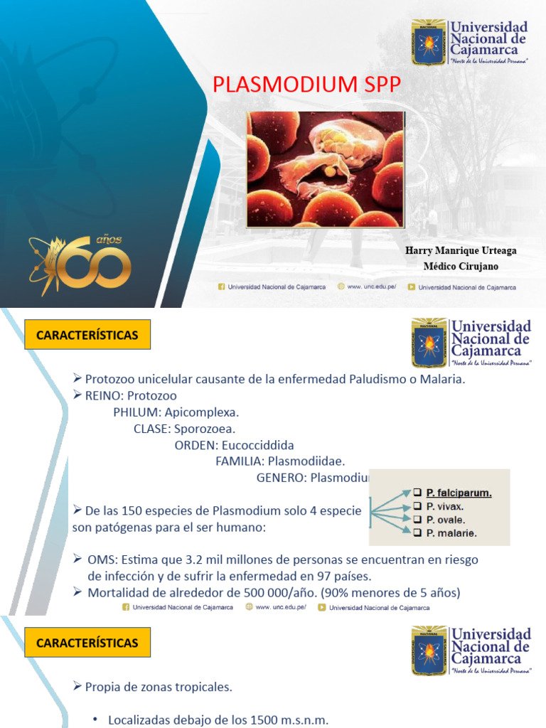 Plasmodium SPP | PDF | Plasmodium | Malaria