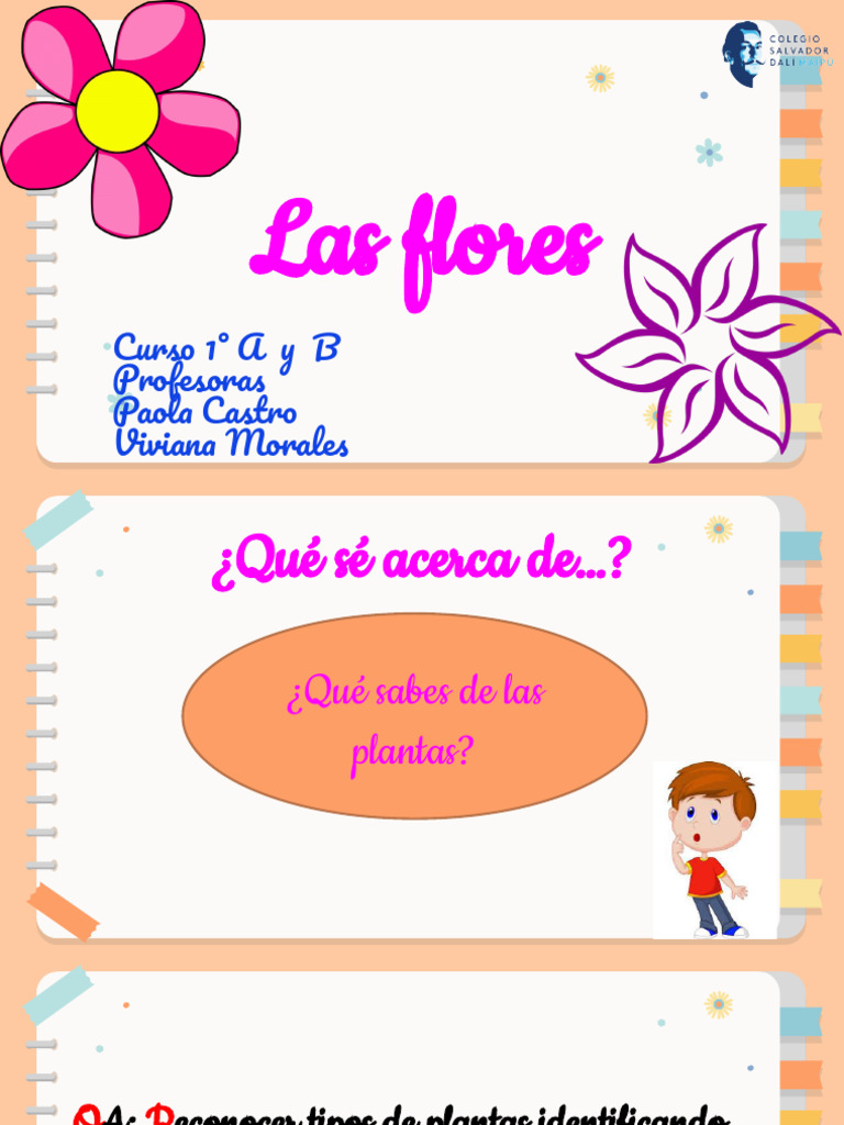 Significado y partes de las flores | PDF