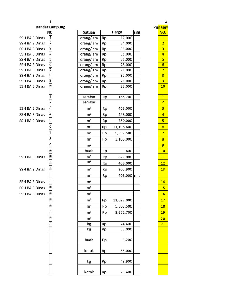SSH Prov Lampung Tahun 2024 | PDF