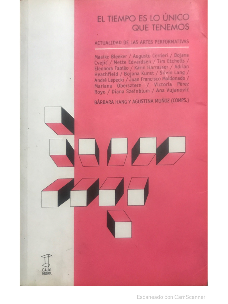 Performance y Precariedad. Eleonora Fabi | PDF