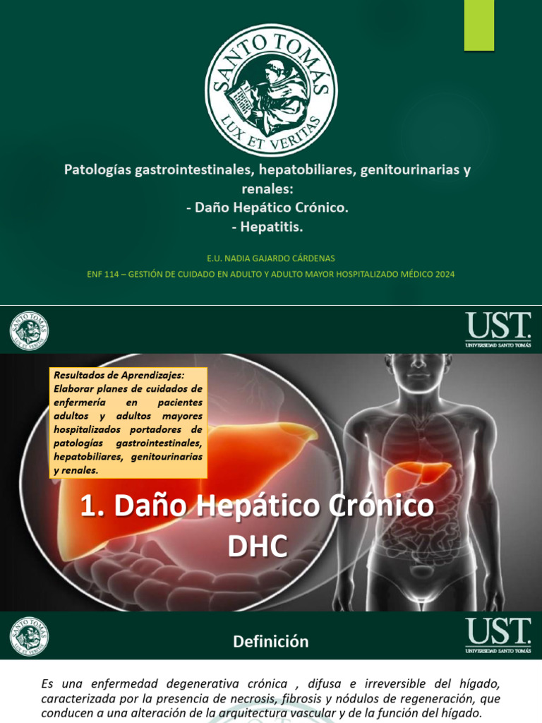 Hepatitis - DHC 2024 | PDF | Cirrosis | Hepatitis