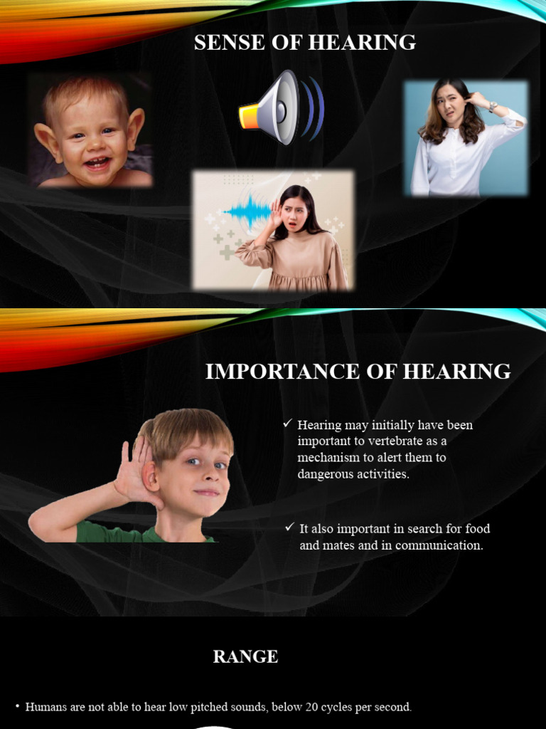 Sense of Hearing | PDF