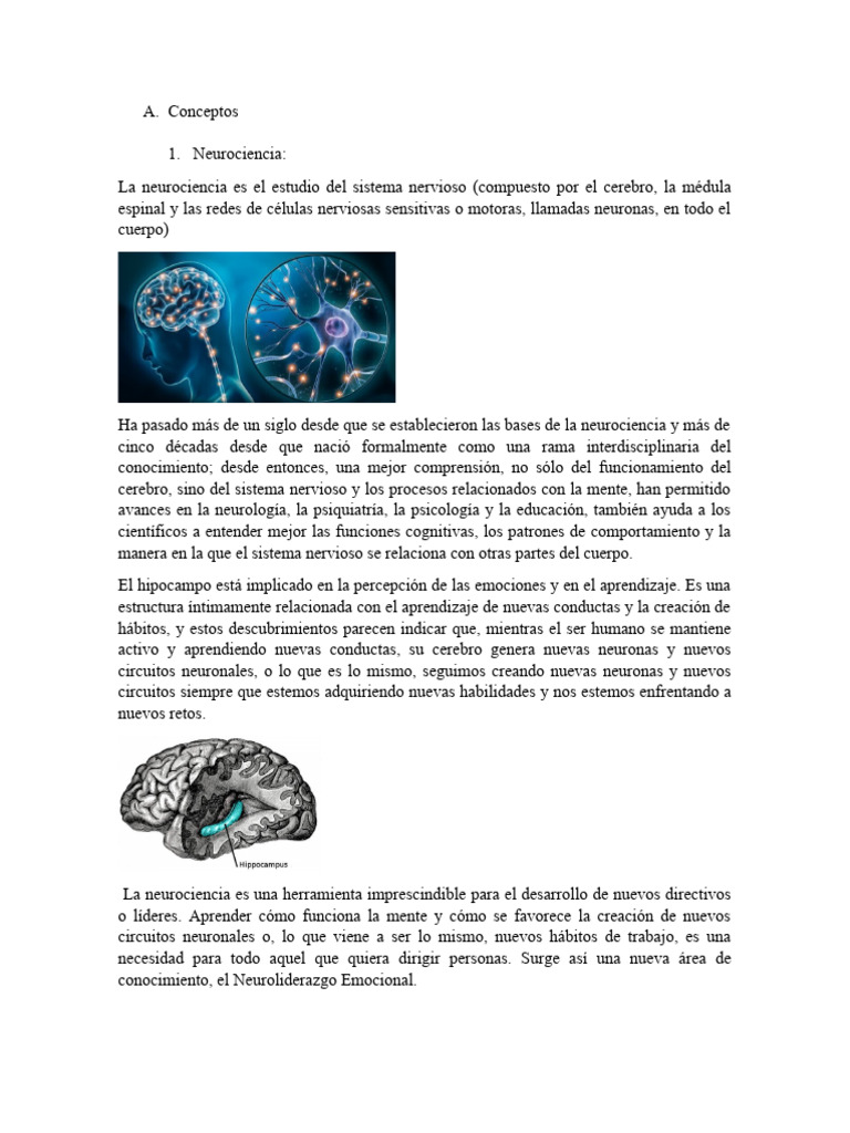 Modelo Scarf | PDF | Neurona | Neurociencia