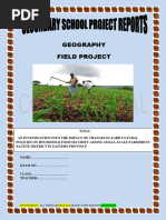 Geography Field Project Guidelines | PDF | Methodology | Geography