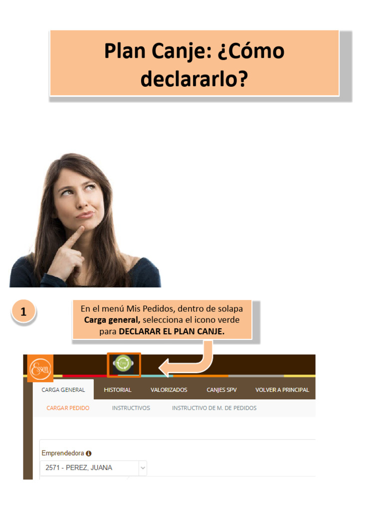 Instructivo Plan Canje | PDF | Informática | Software