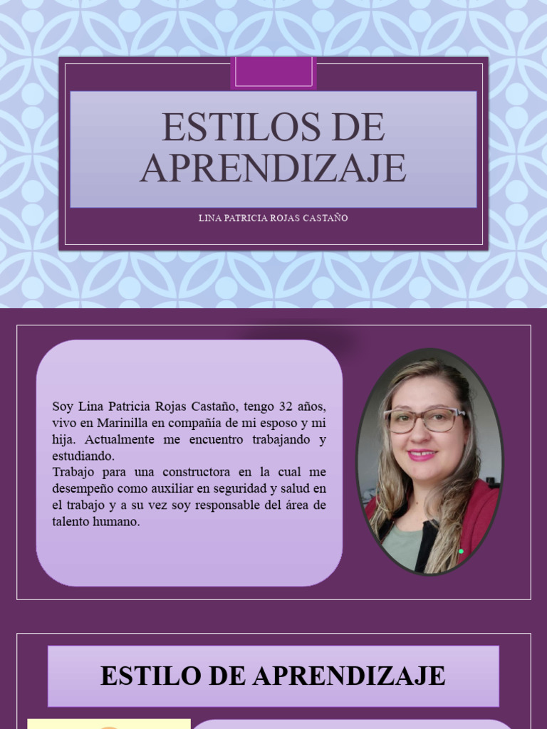 Estilos de Aprendizaje y Retos | PDF