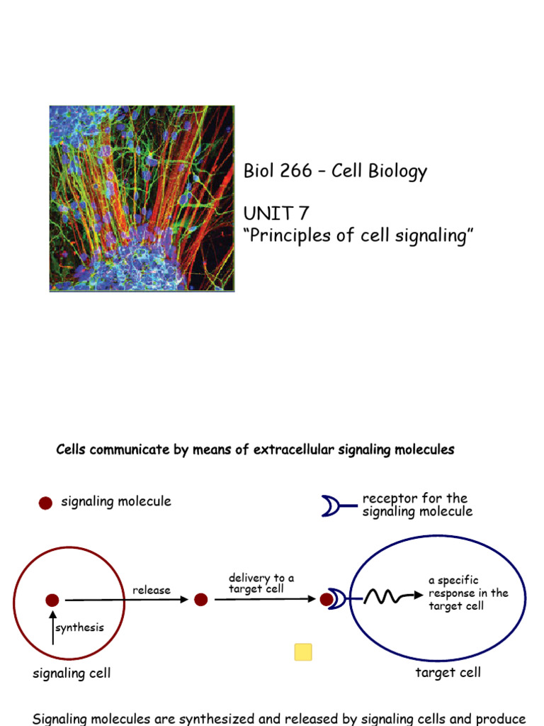 Unit 7 | PDF | Cell Signaling | Signal Transduction Unit 7 | PDF | Cell Signaling | Signal Transduction