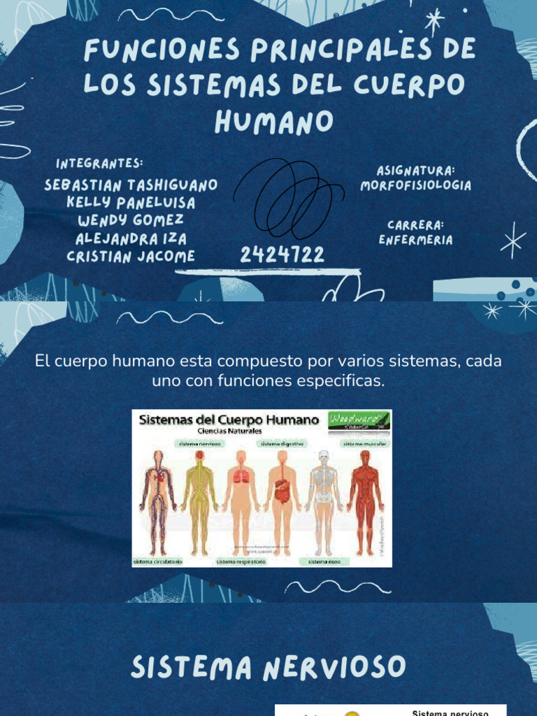 Funciones Principales Del Sistema Del Cuerpo Humano | PDF | Salud y ...