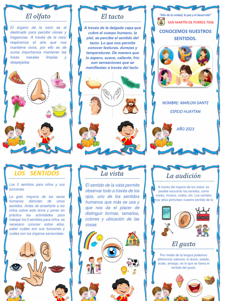 Triptico Conociendo Los Sentidos | PDF | Sentidos | Sistema nervioso