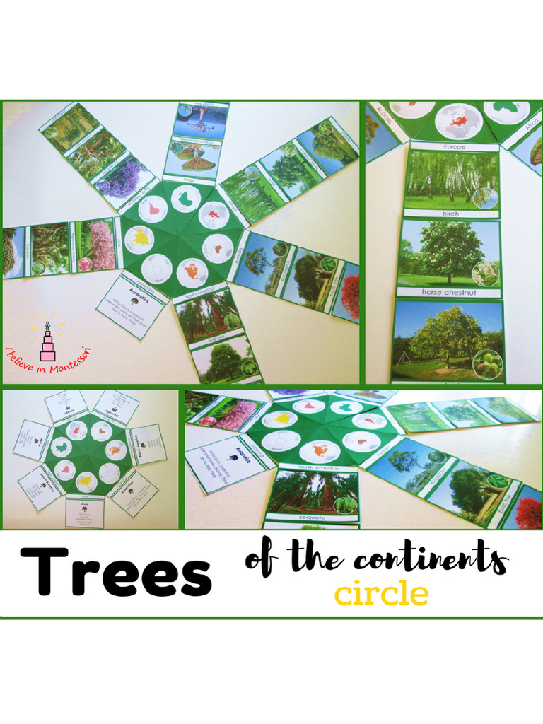 2 - Trees of The Continents Circle Cards Montessori | PDF | Trees