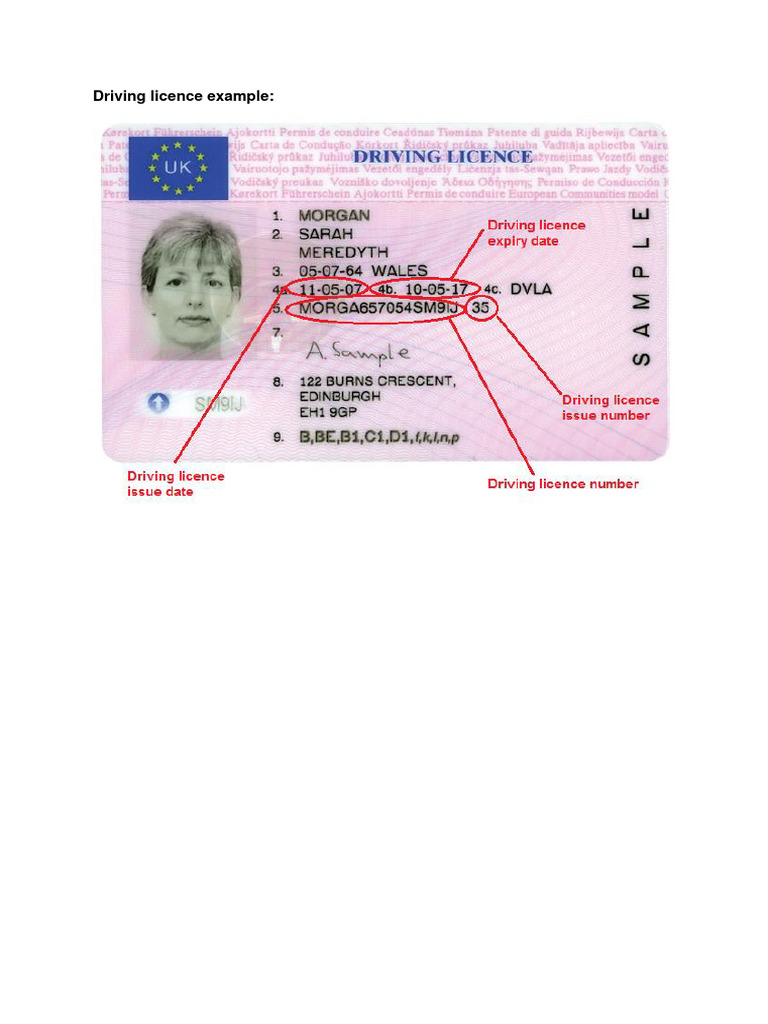 Driving Licence Example | PDF
