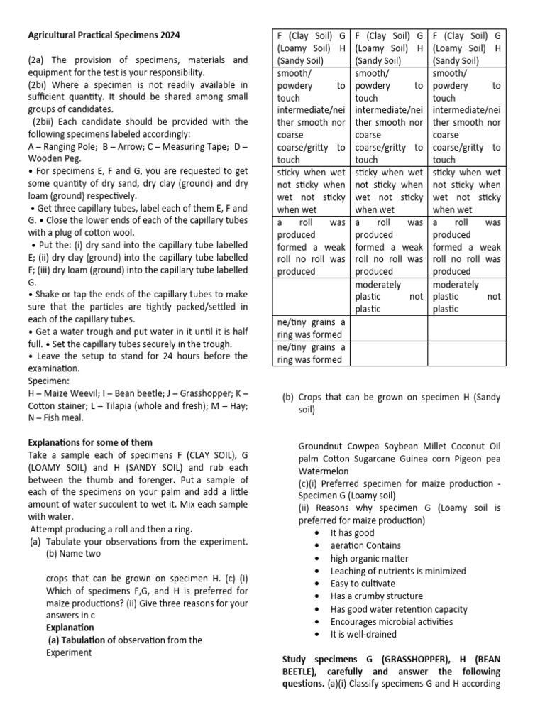 Agricultural Practical Specimens 2024 | Download Free PDF | Loam | Maize