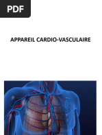 Vascularisation Du Coeur | PDF | Aorte | Organe