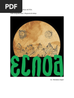 Informe Region NOA | PDF | Entorno natural | Ciencias de la Tierra