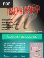 Mano en Garra: Causas y Tratamientos | PDF | Mano | Nervio
