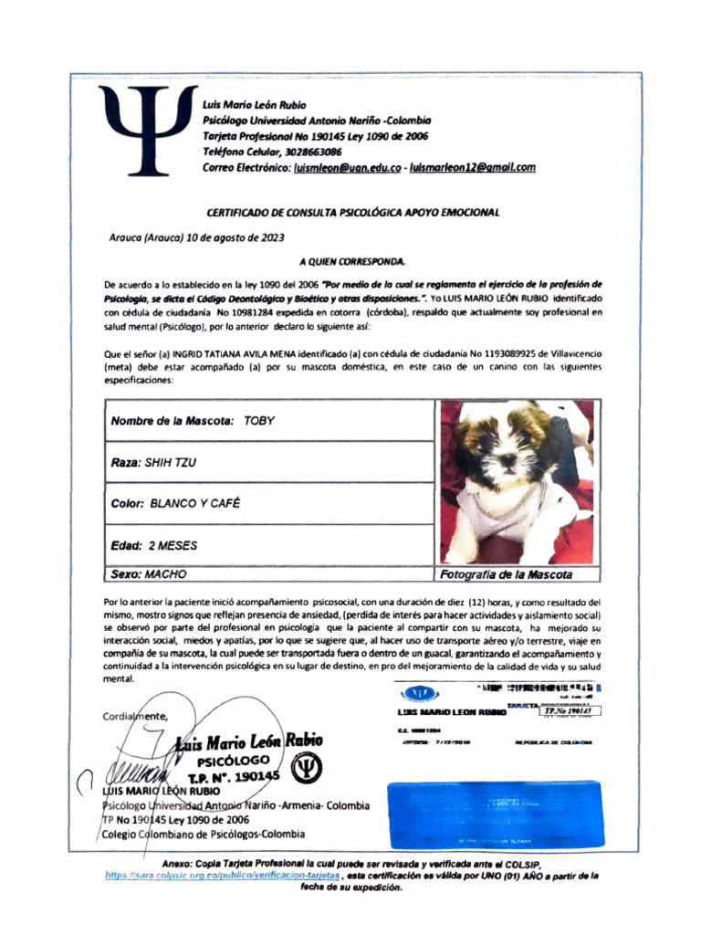 Certificado De Apoyo Psicologico