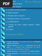 Anatomia do Períneo: Estruturas e Funções | PDF | Pélvis