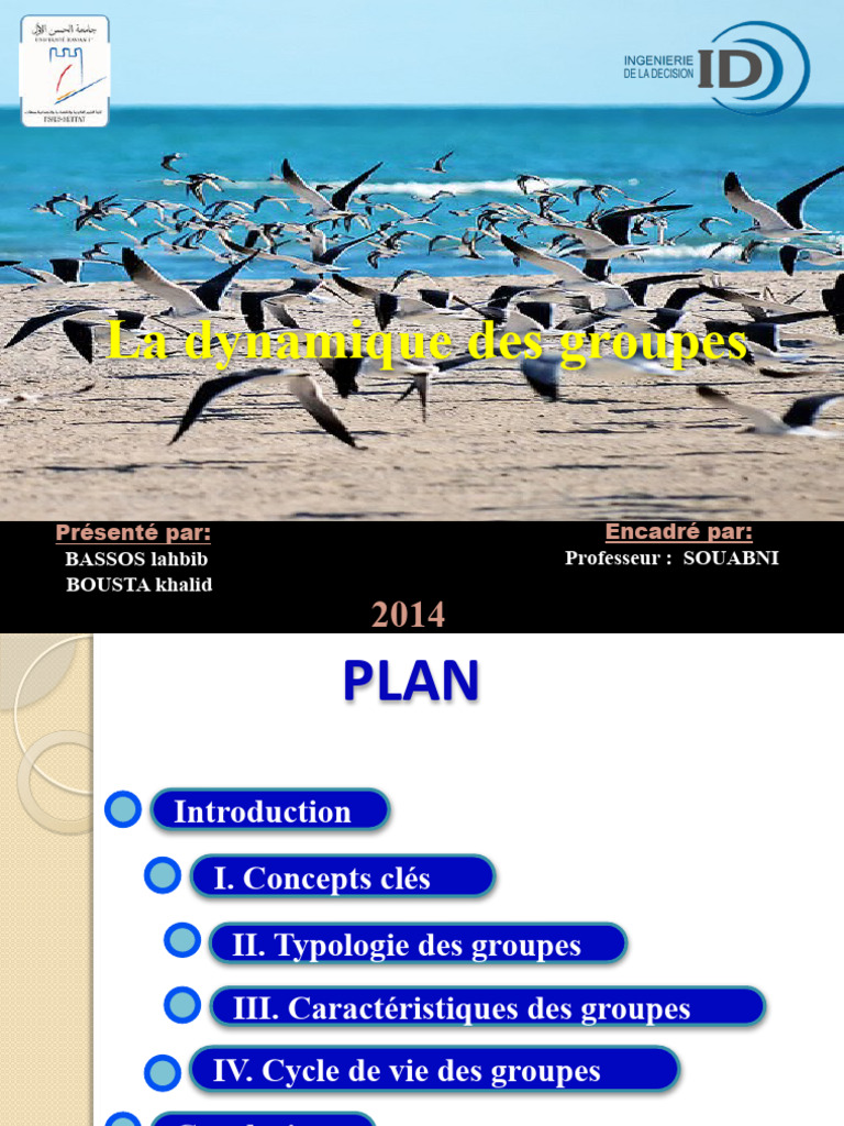 Final Dynamique Des Groupes Coach | PDF | Psychologie | Psychologie sociale