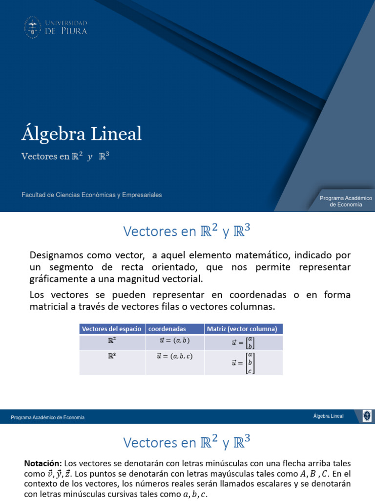 Vectores en R2 y R3_2024 | PDF | Espacio vectorial | Vector Euclidiano