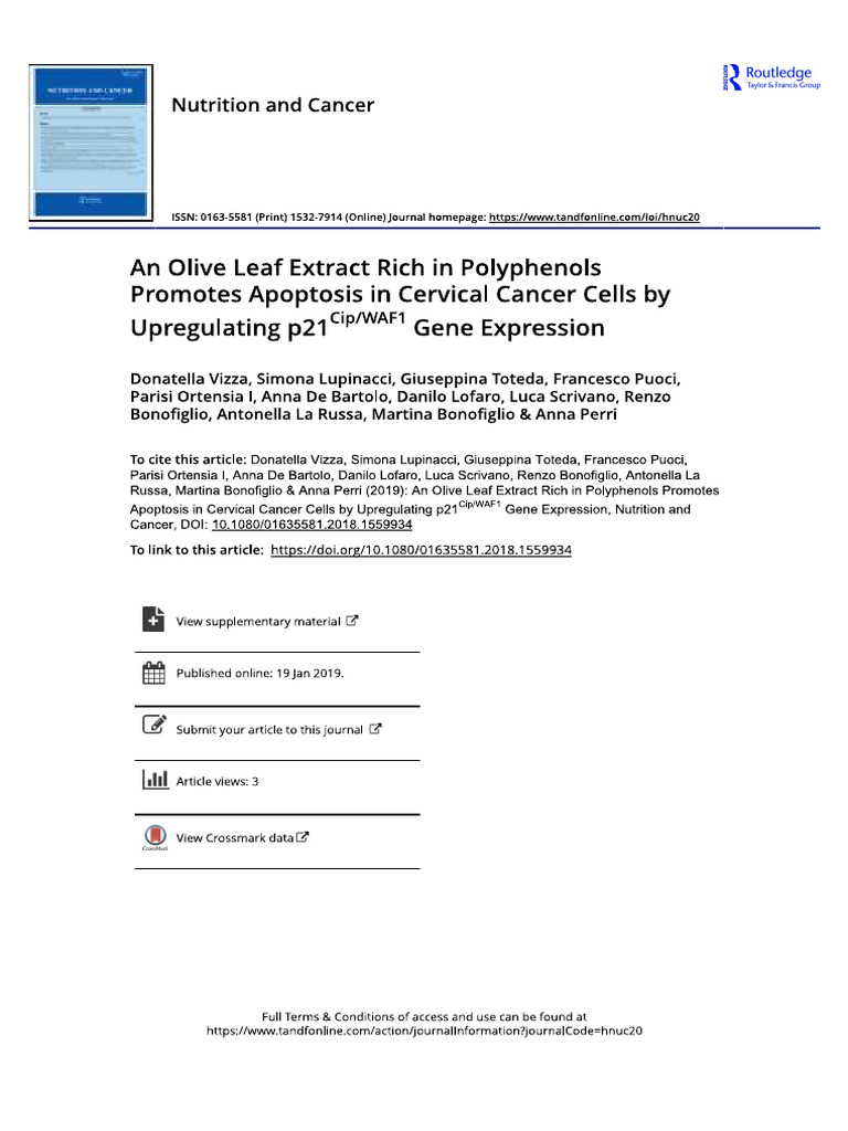 Vizza2019 OLE p21 | PDF