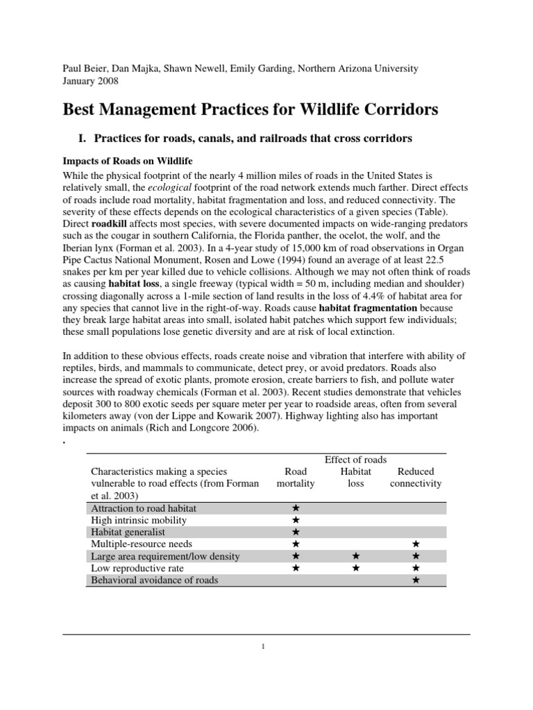 BMPs For Corridors | PDF | Riparian Zone | Road