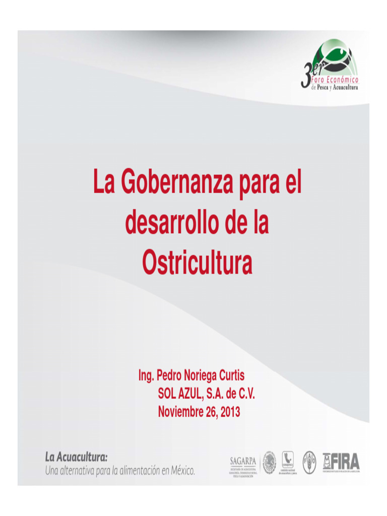 15 Panel 4 Pedro Noriega | PDF | México | Gobernancia