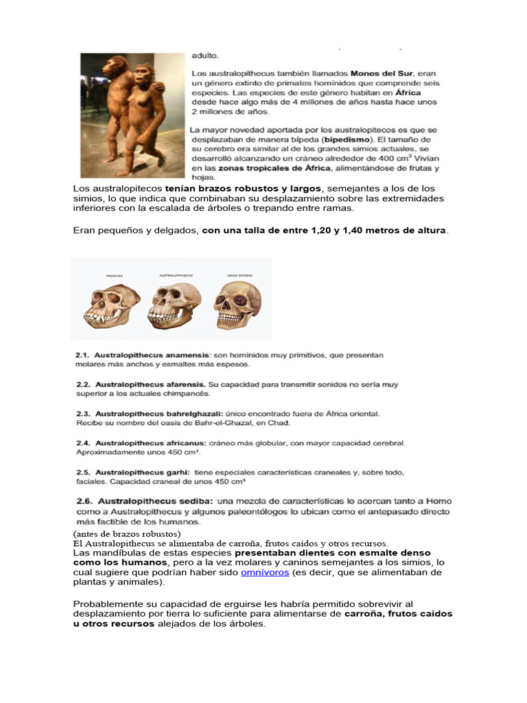 Historia Aaaaaaa | PDF | Homo | Humano
