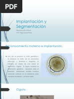 Atlas Del Desarrollo Embrionario Del Perro Embriologia - Compress | PDF ...