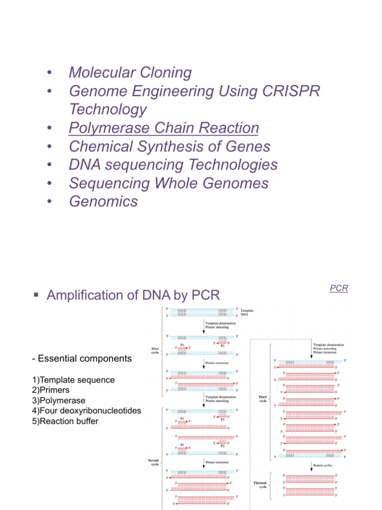 c01-02 (B) | PDF | Dna Sequencing | Polymerase Chain Reaction