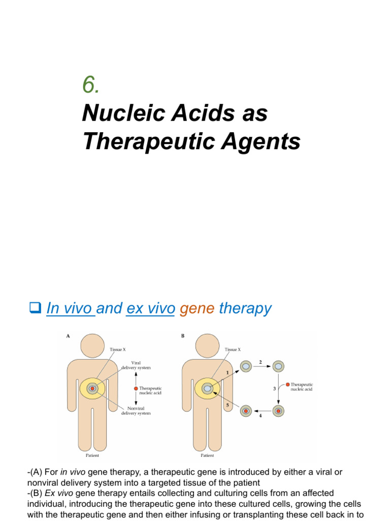 c06 (A) | PDF | Sense (Molecular Biology) | Oligonucleotide