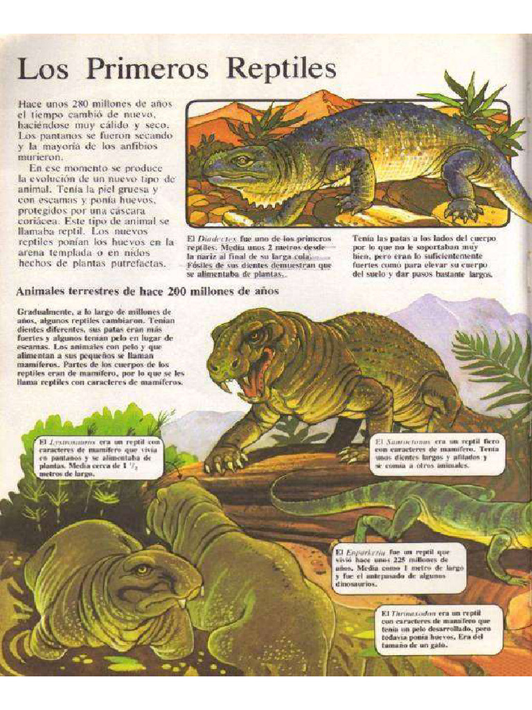 los primeros reptiles | PDF