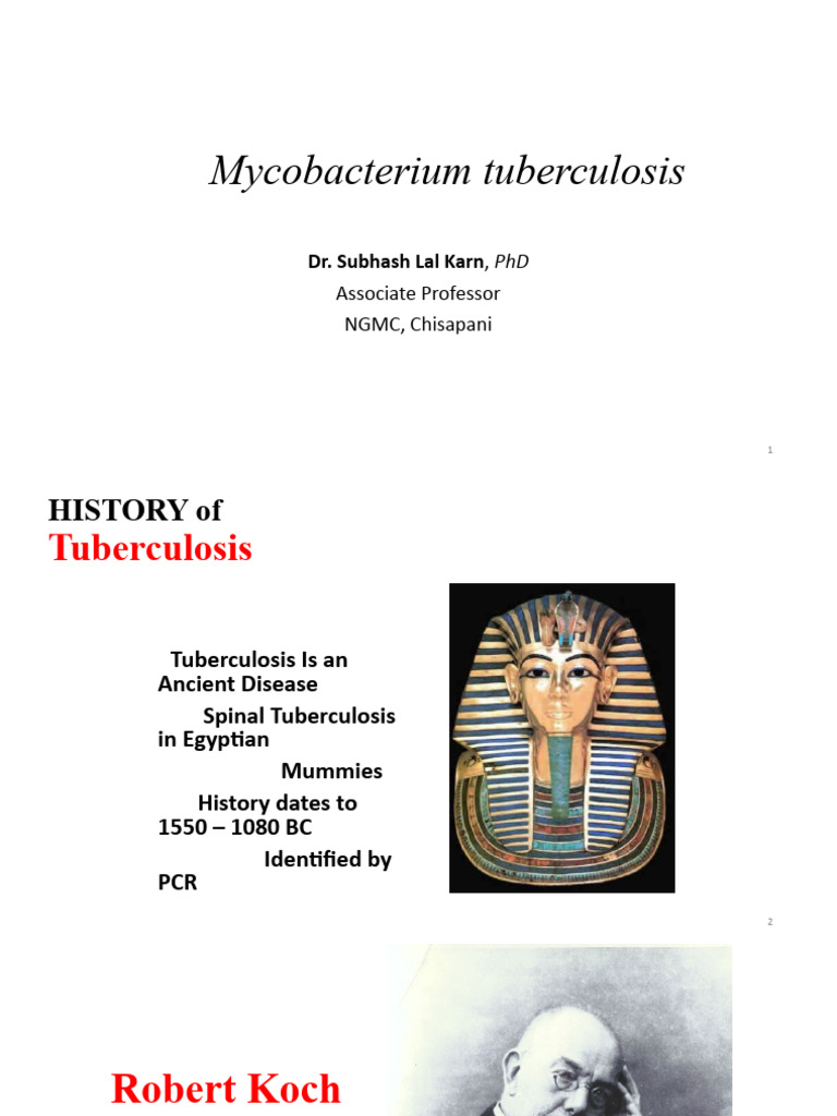 Mycobacterium Tuberculosis | PDF | Mycobacterium | Tuberculosis