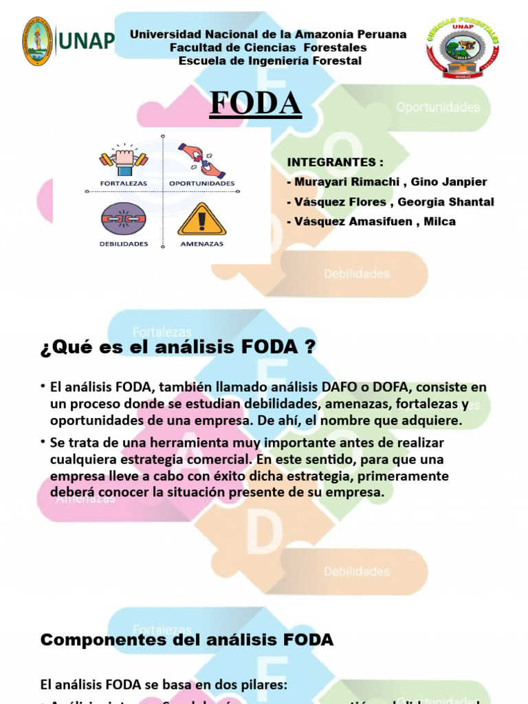 Foda | PDF | Análisis FODA | Economias