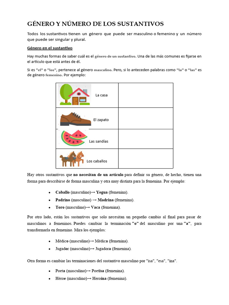 GÉNERO Y NÚMERO DE LOS SUSTANTIVOS | PDF | Sustantivo | Plural