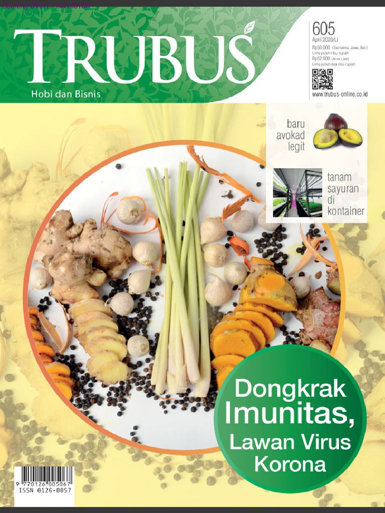 Majalah Trubus Edisi 605 Hobi & Bisnis Menanam Sayuran Di Kontainer ...