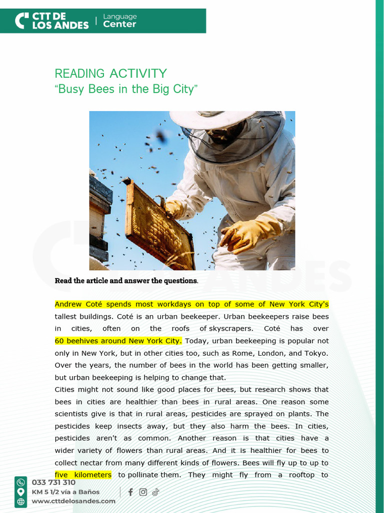 READING | PDF | Bees | Beekeeper